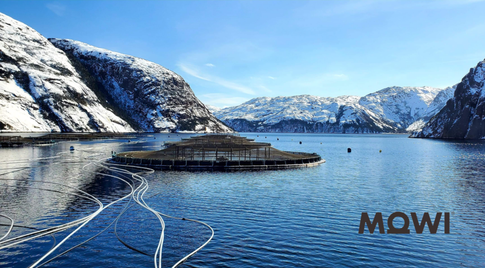 Mowi Canada East Inc. | Newfoundland and Labrador Aquaculture Industry